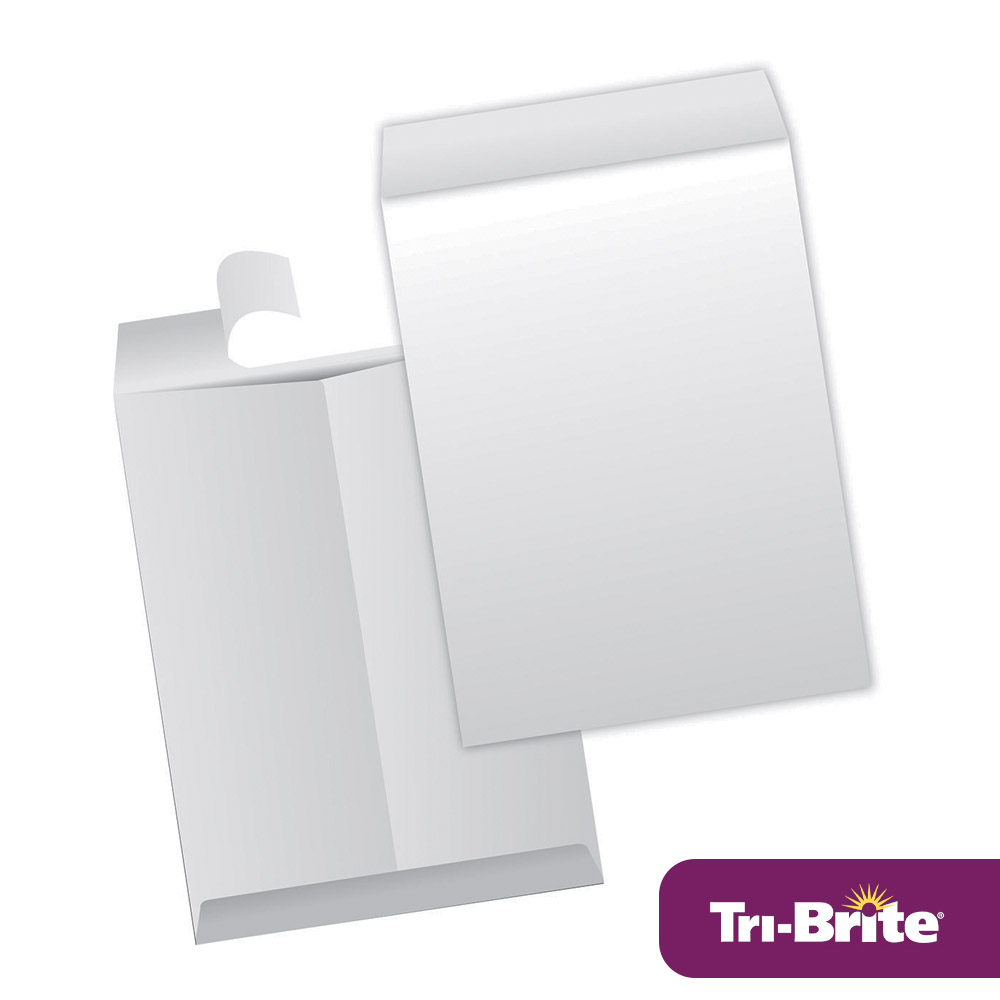 One Carton: 9″ x 12″ Sub 26 White Peel and Seal Open End Flaps Folded ...