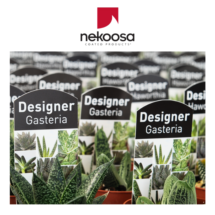 One Carton: 12″ x 18″ White 8 mil Premium Synthetic Paper Synaps OM for ...