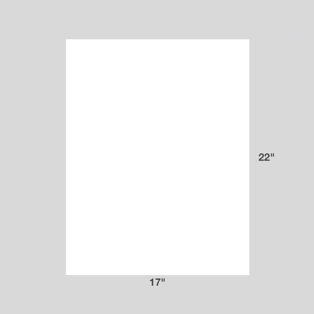Wausau 17" x 22" White Signature Offset Grade WC0922 | Randolph